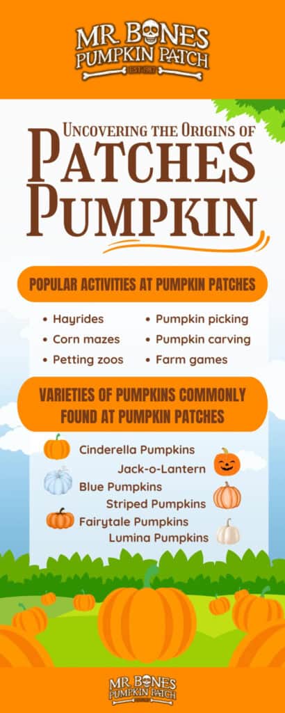 Uncovering the Origins of Pumpkin Patches | Mr. Bones Pumpkin Patch