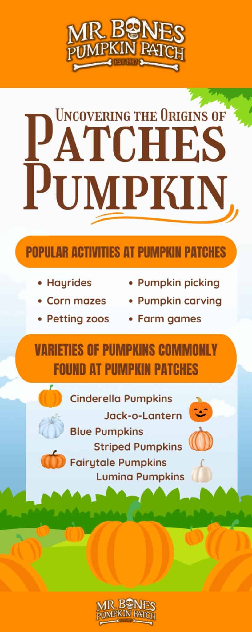 Uncovering the Origins of Pumpkin Patches | Mr. Bones Pumpkin Patch