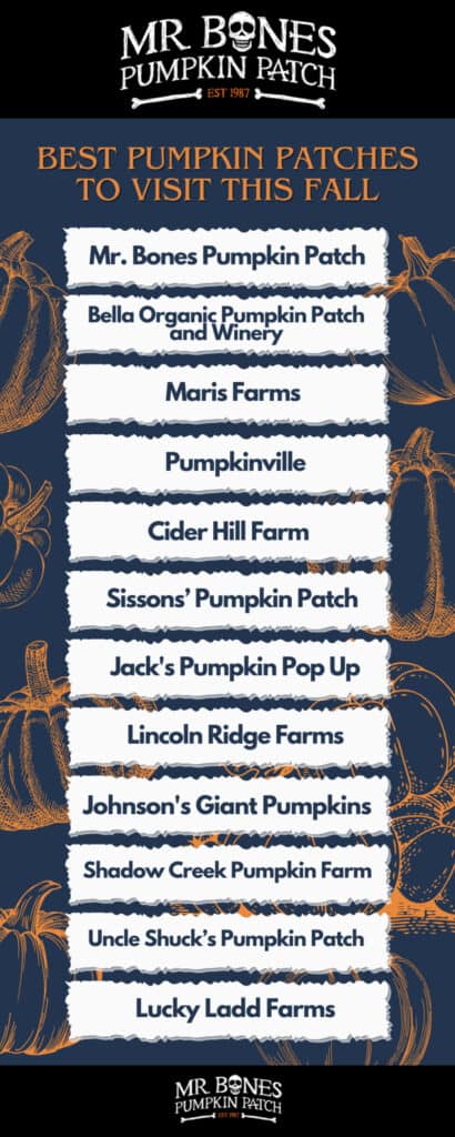 Best Pumpkin Patches to Visit This Fall | Mr. Bones Pumpkin Patch