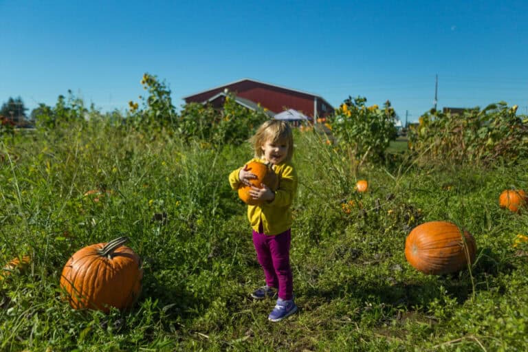 Top Dog-Friendly Pumpkin Patches You Must Visit | Mr. Bones Pumpkin Patch