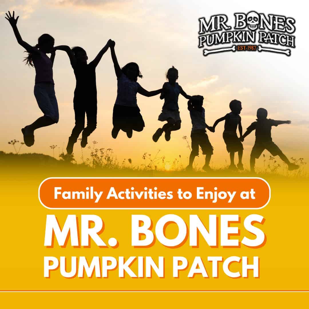 Top 10 Family Activities to Enjoy at Mr. Bones Pumpkin Patch 2025